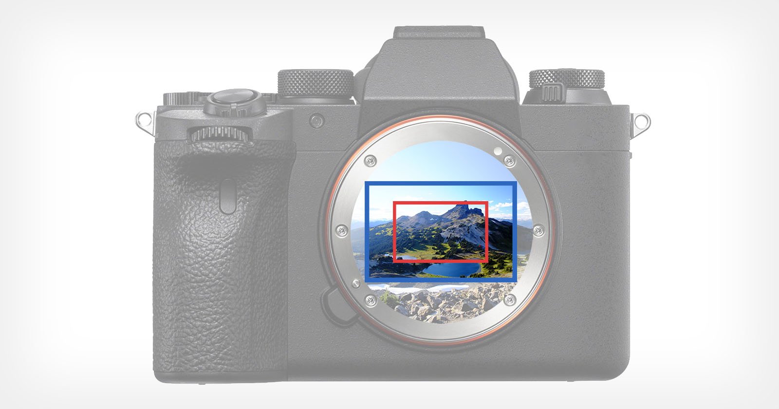 What is Crop Factor? Here is What You Need to Know | PetaPixel - 卡塔尔世界杯 ...