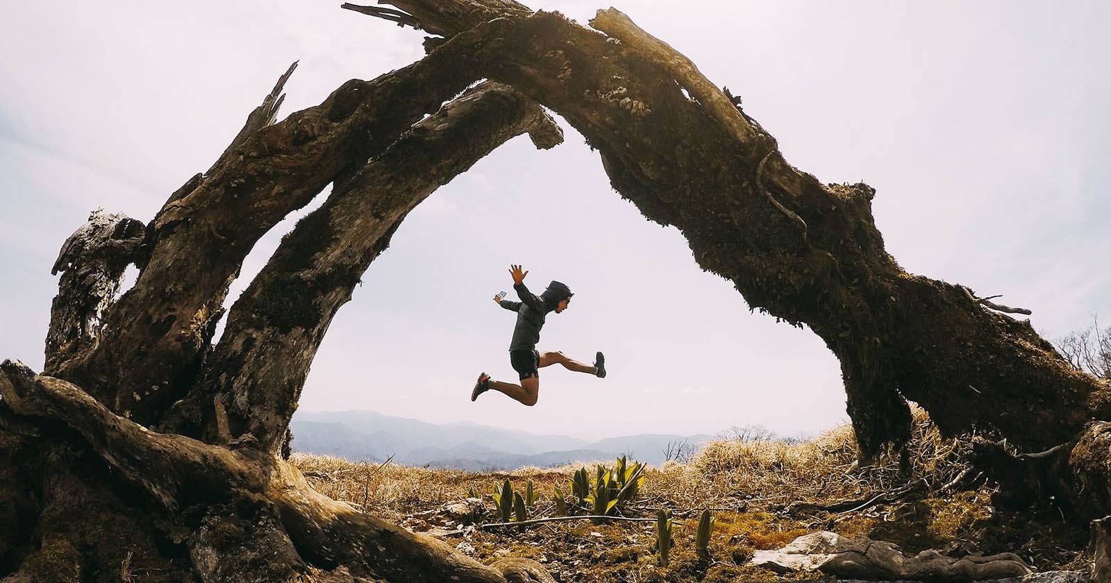 框中框:更好的照片构图的自然取景| PetaPixel - 卡塔尔世界杯4强谁会赢？